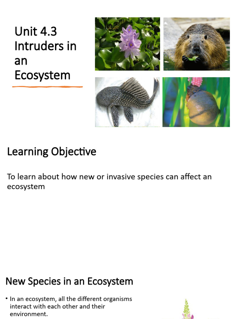 Impact of Invasive Species on Ecosystems | PDF | Introduced Species ...