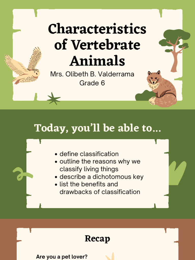 Characteristics of Vertebrate Animals | PDF | Vertebrates | Amphibian