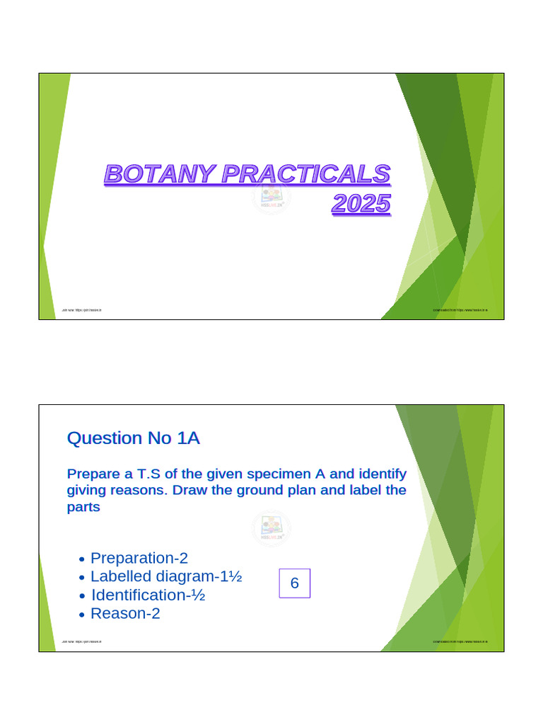 Botany Practicals Guide 2025 | PDF | Plant Reproduction | Botany
