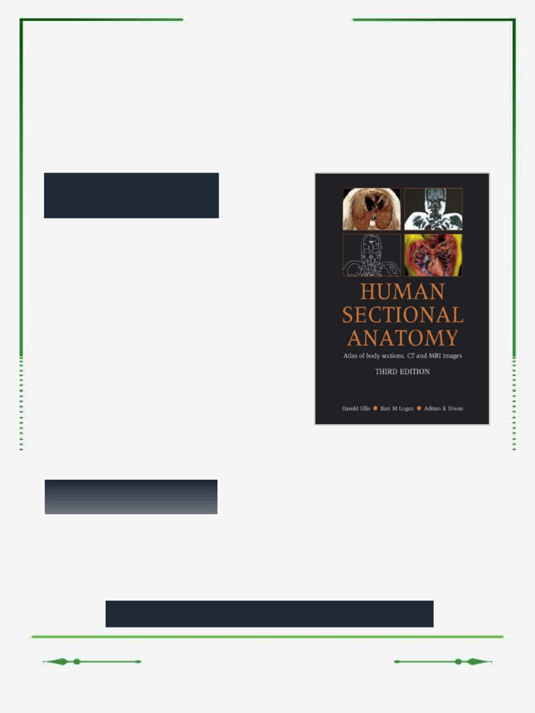 Human Sectional Anatomy Atlas of Body Sections CT and MRI Images 3rd ...