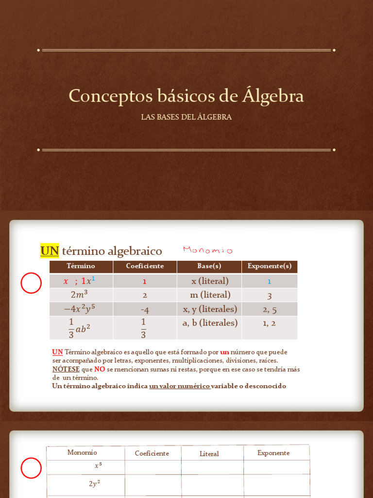Introducción al Álgebra y Términos Algebraicos | PDF | Teoría de los ...