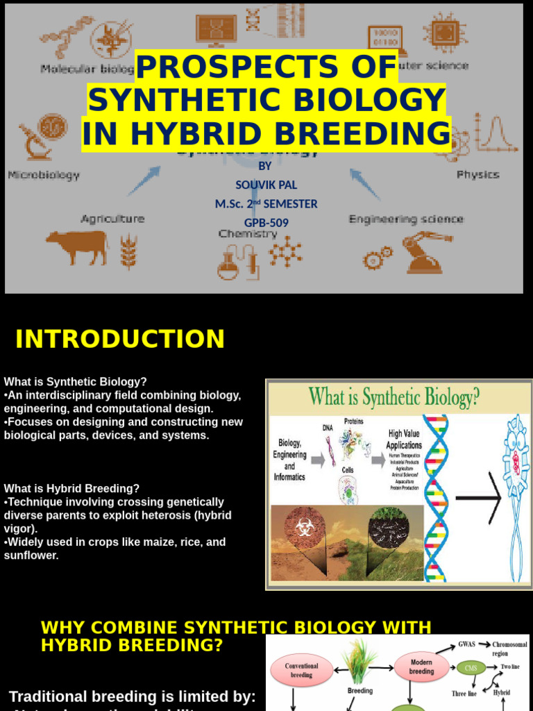 GPB 509_PROSPECTS OF SYNTHETIC BIOLOGY IN HYBRID BREEDING | PDF | Plant ...