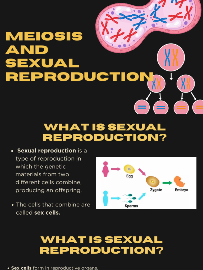 Understanding Meiosis and Sexual Reproduction | PDF | Meiosis | Sexual ...