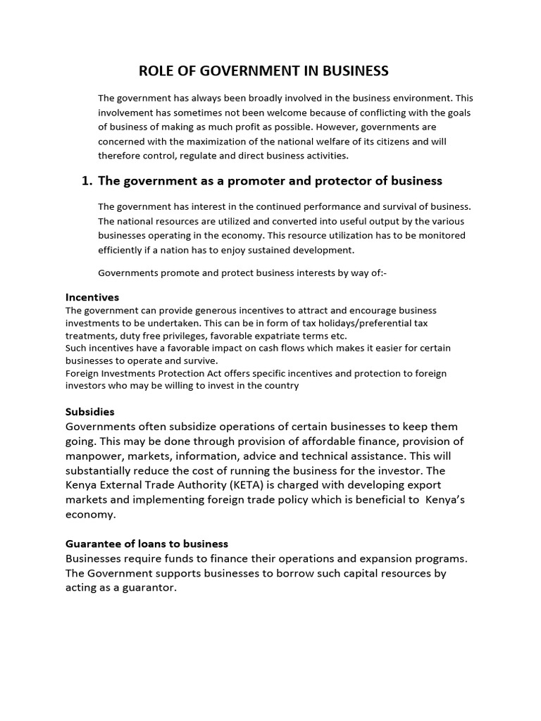 Government's Role in Business Dynamics | PDF | Taxes | Subsidy