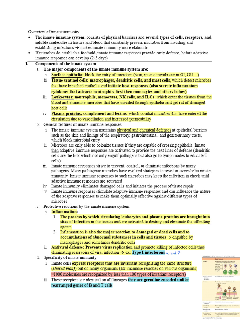 Innate Immunity | PDF | Innate Immune System | Immune System