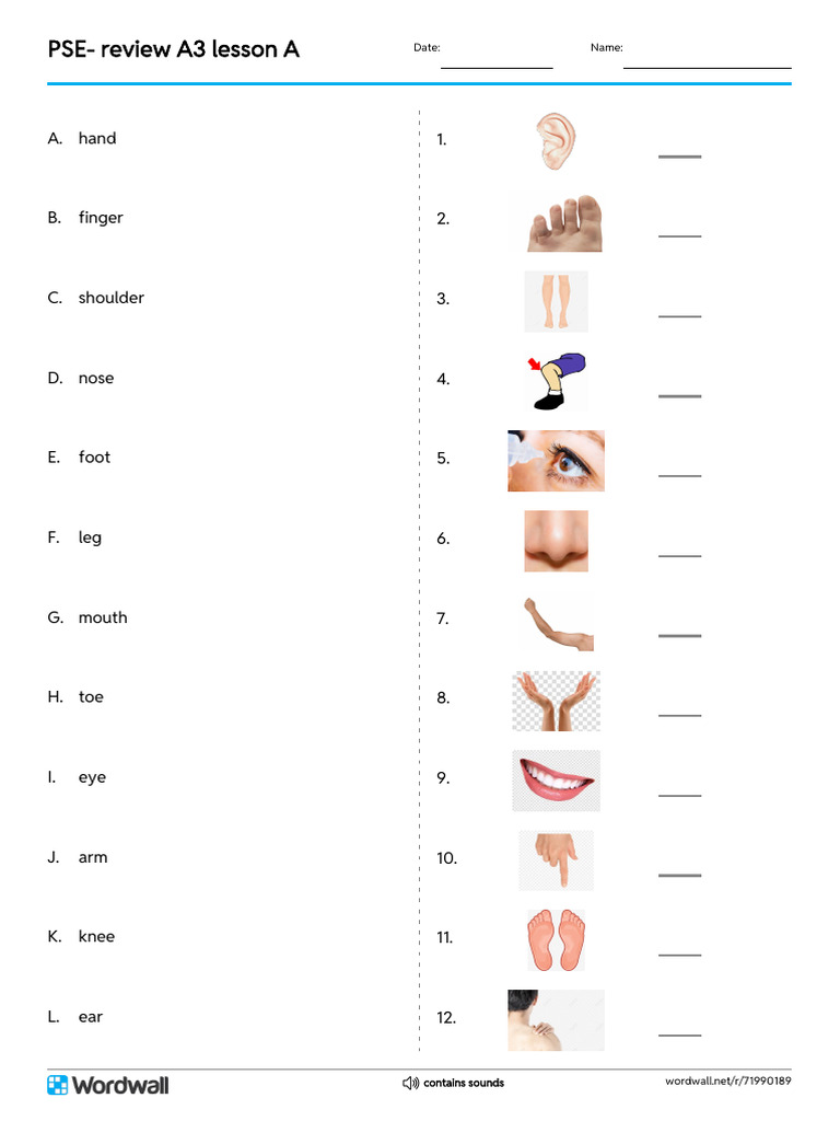 Pse Review a3 Lesson a Match Up Write the Answer | PDF