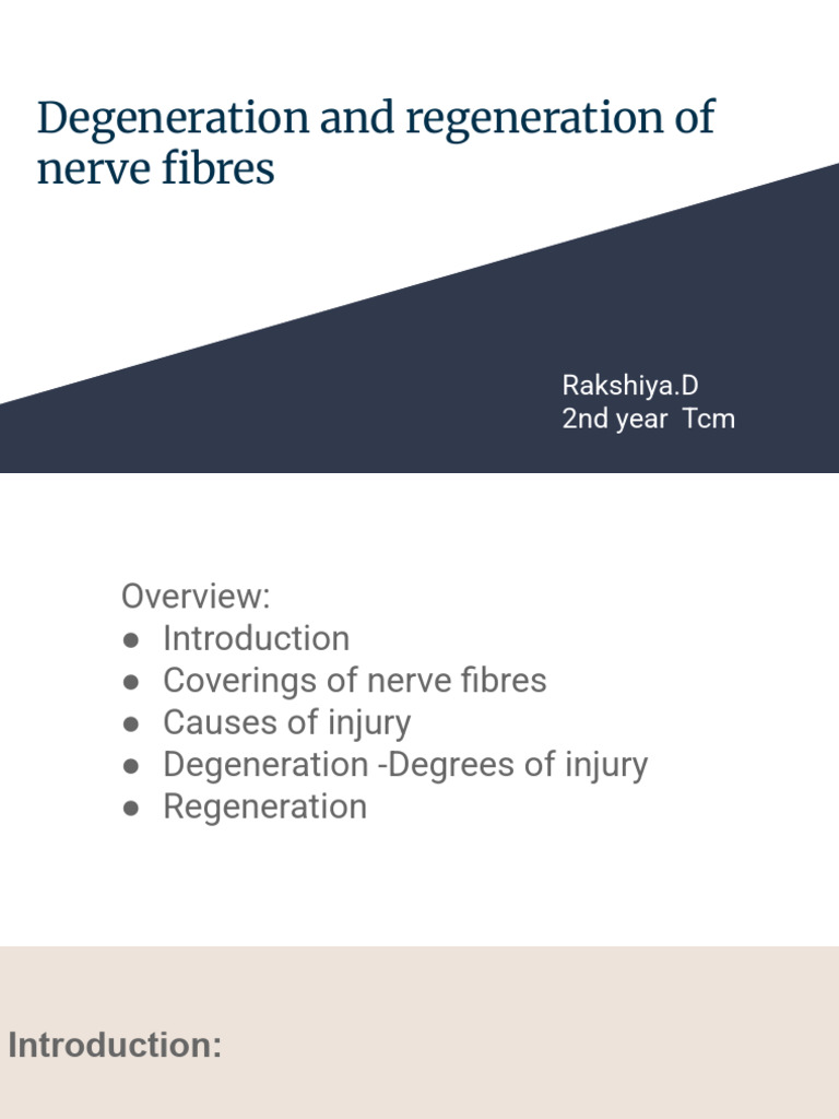 Degeneration and Regeneration of Nerve Fibres | PDF | Axon | Nerve