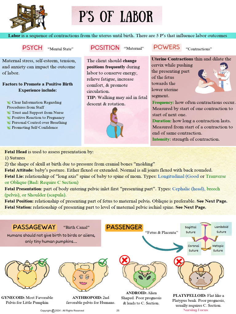 Labor and Delivery Free PDF c09ead15-12bc-4c55-960e-97316d5cf25e | PDF ...