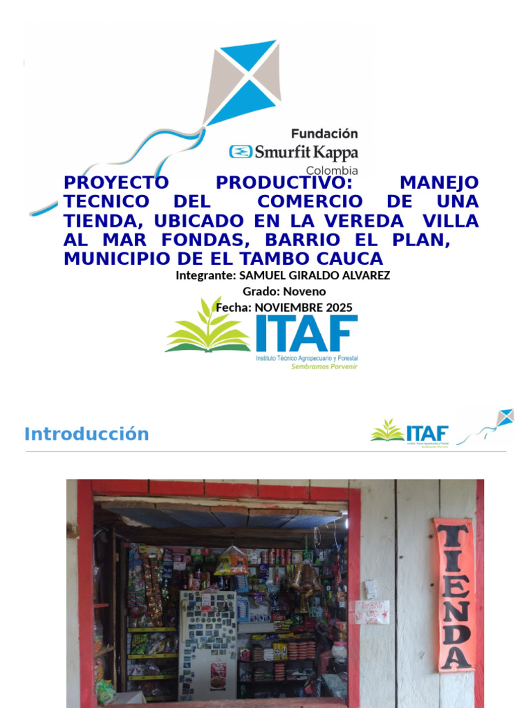 Proyecto de Comercio en El Tambo, Cauca | PDF | Economias