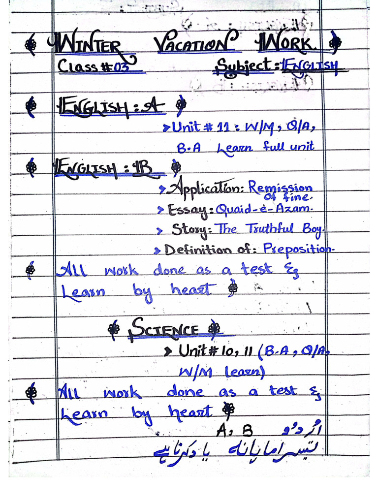 Grade 3 Winter Vacation Work | PDF