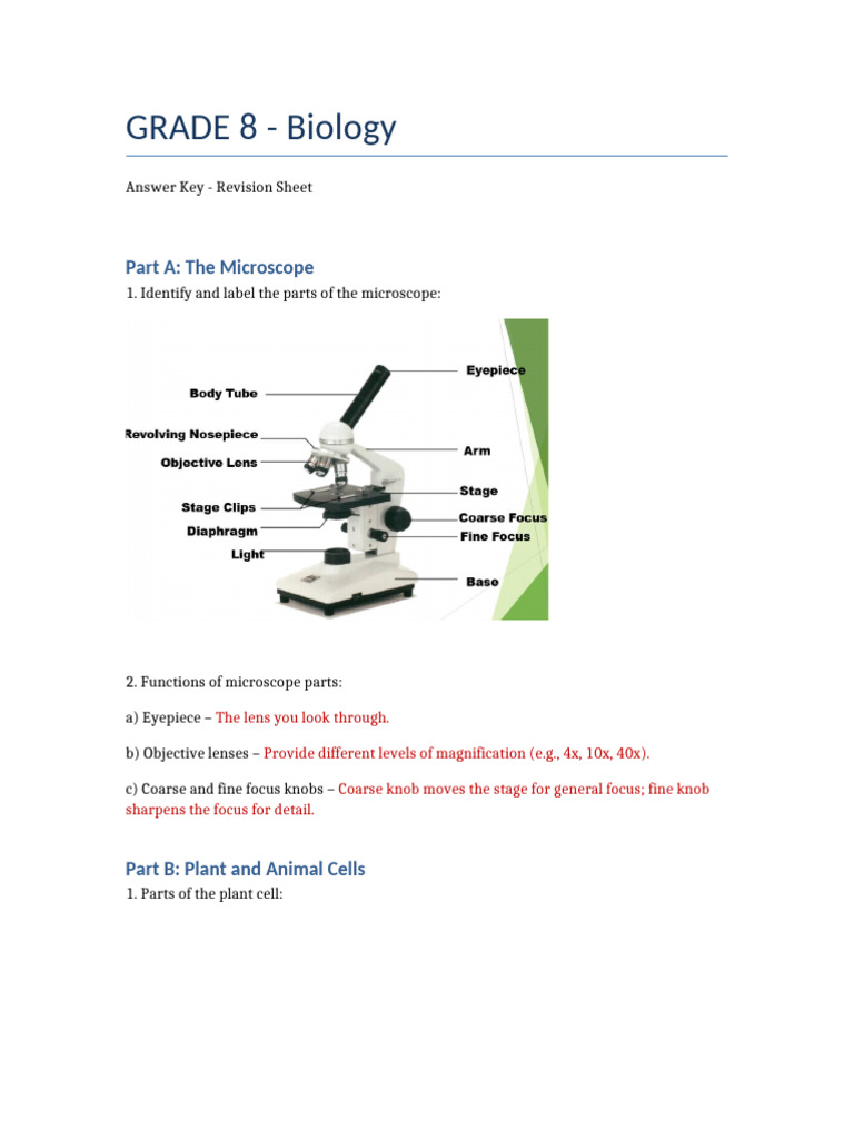 Grade 8 Biology Microscope & Cells Guide | PDF