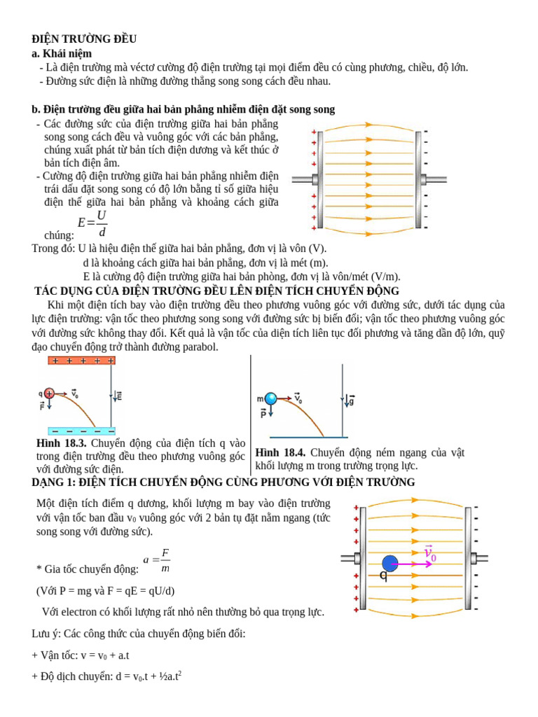 Tâm Lý_ĐIỆN TRƯỜNG ĐỀU phân loại bài tập | PDF