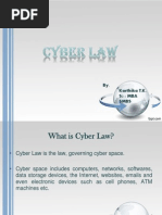Information Technology Law | PDF