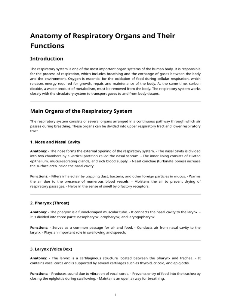 Respiratory System Anatomy and Functions | PDF | Respiratory Tract | Lung