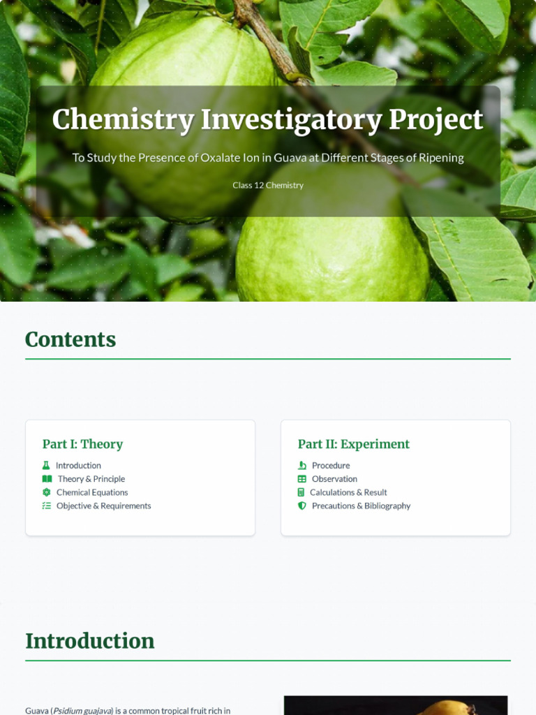 Chemistry Project - Oxalate Ion in Guava | PDF