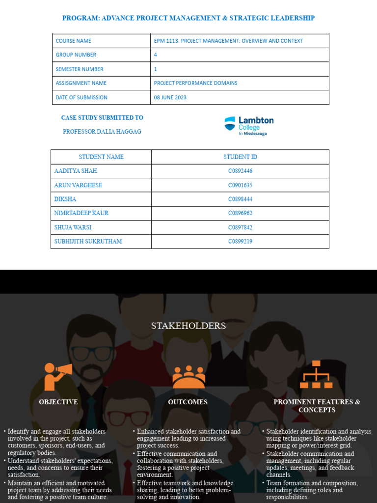 Project Performance Domains - Group 4 | PDF | Project Management | Risk