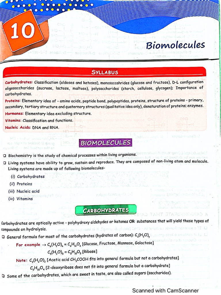 Bio Molecules Class 12 | PDF