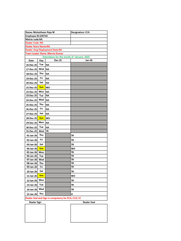 January 2025 Attendance Record CCA | PDF