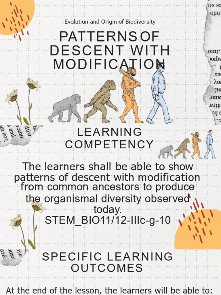 4 - Patterns of Descent With Modifications | PDF | Hybrid (Biology ...