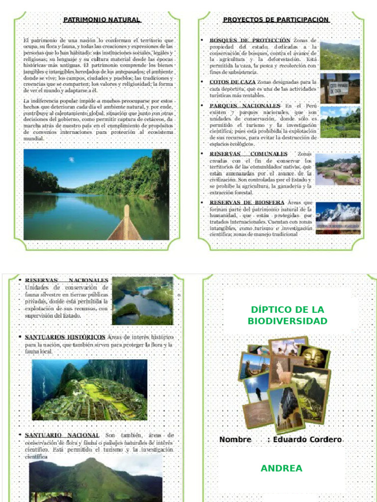 Bio Divers i Dad | PDF
