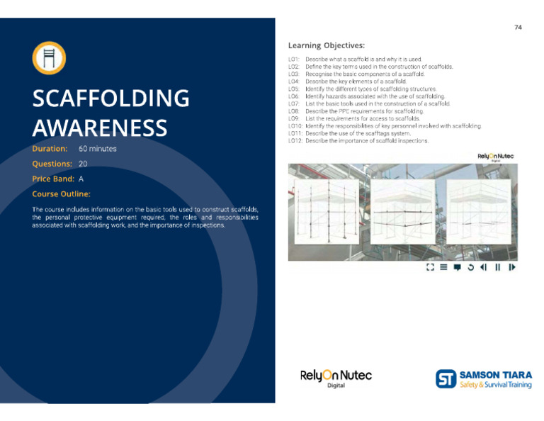 Scaffolding Awareness | PDF