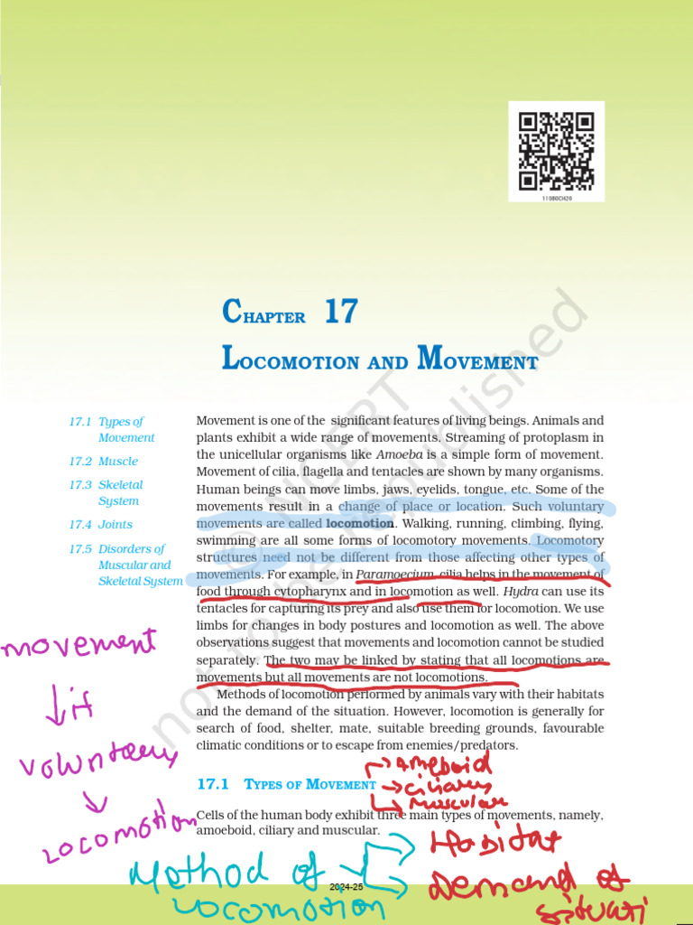 Understanding Locomotion and Movement | PDF | Muscle | Muscle Contraction