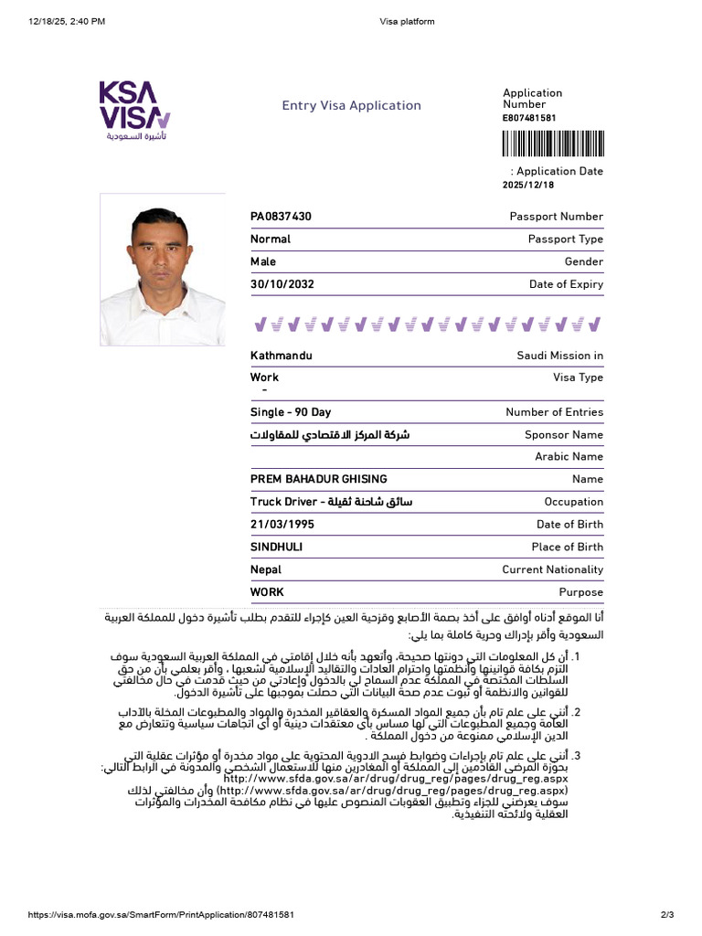 Saudi Entry Visa Application Details | PDF
