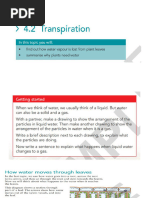 Plant Transpiration Experiments Guide | PDF | Leaf | Water