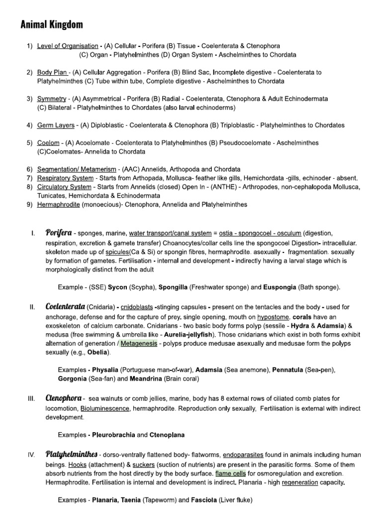 Animal Kingdom Short Notes | PDF