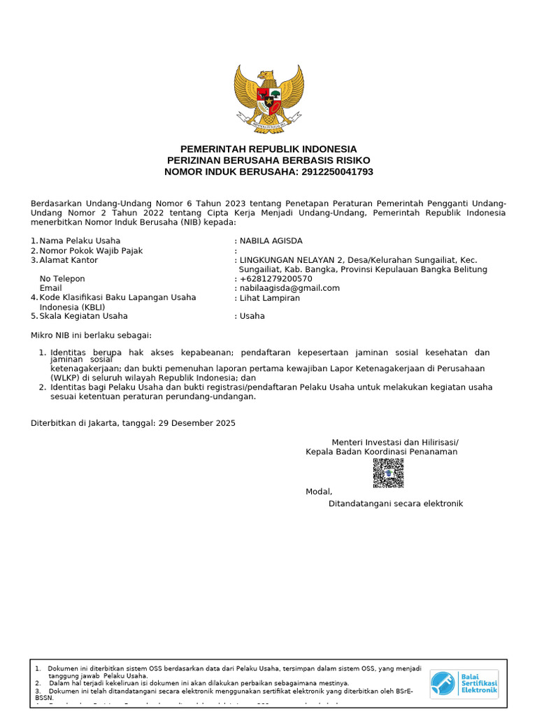 NIB Perizinan Usaha Nabila Agisda | PDF