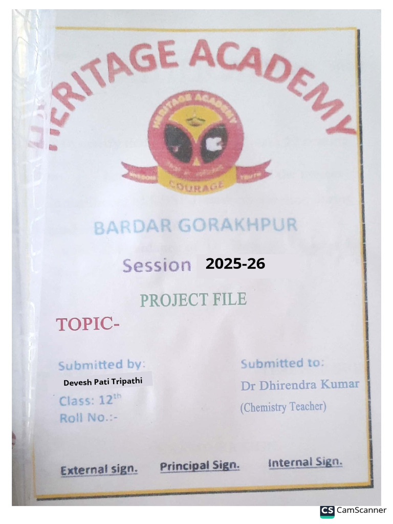 Project work.pdf_20260104_134020_0000 | PDF