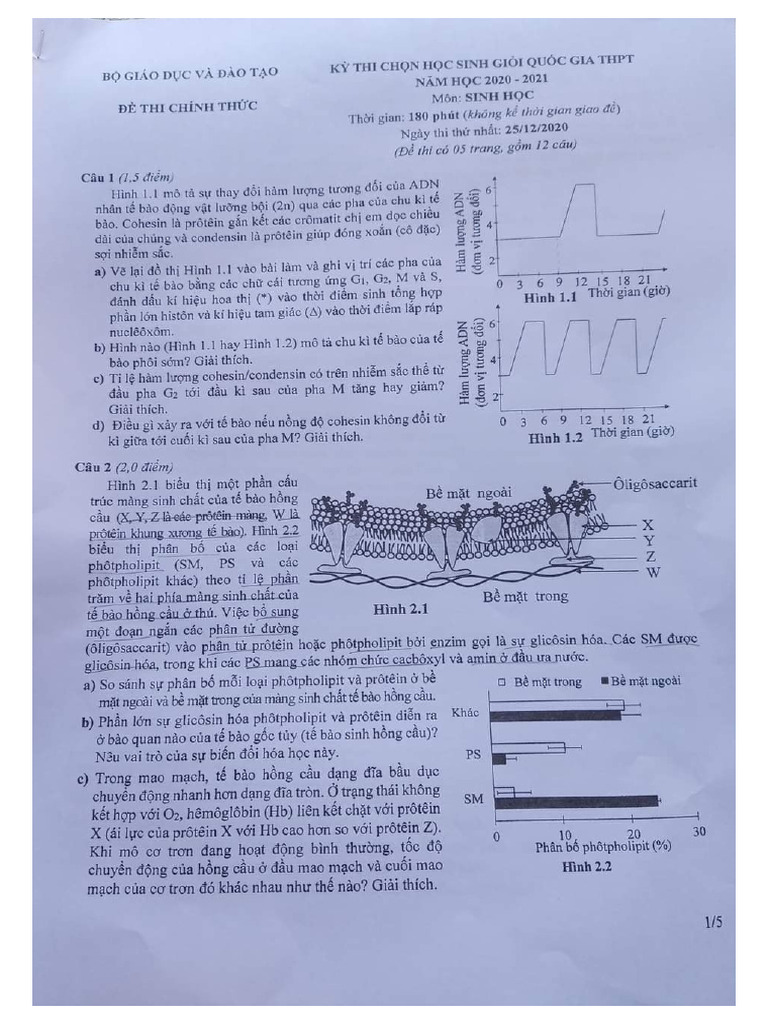 Đề Thi HSGQG Sinh 2020 | PDF