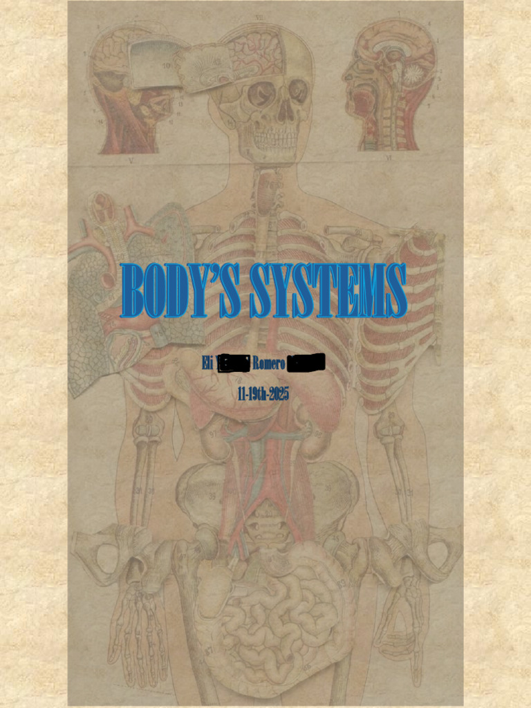 Overview of Human Body Systems | PDF | Vein | Abdomen