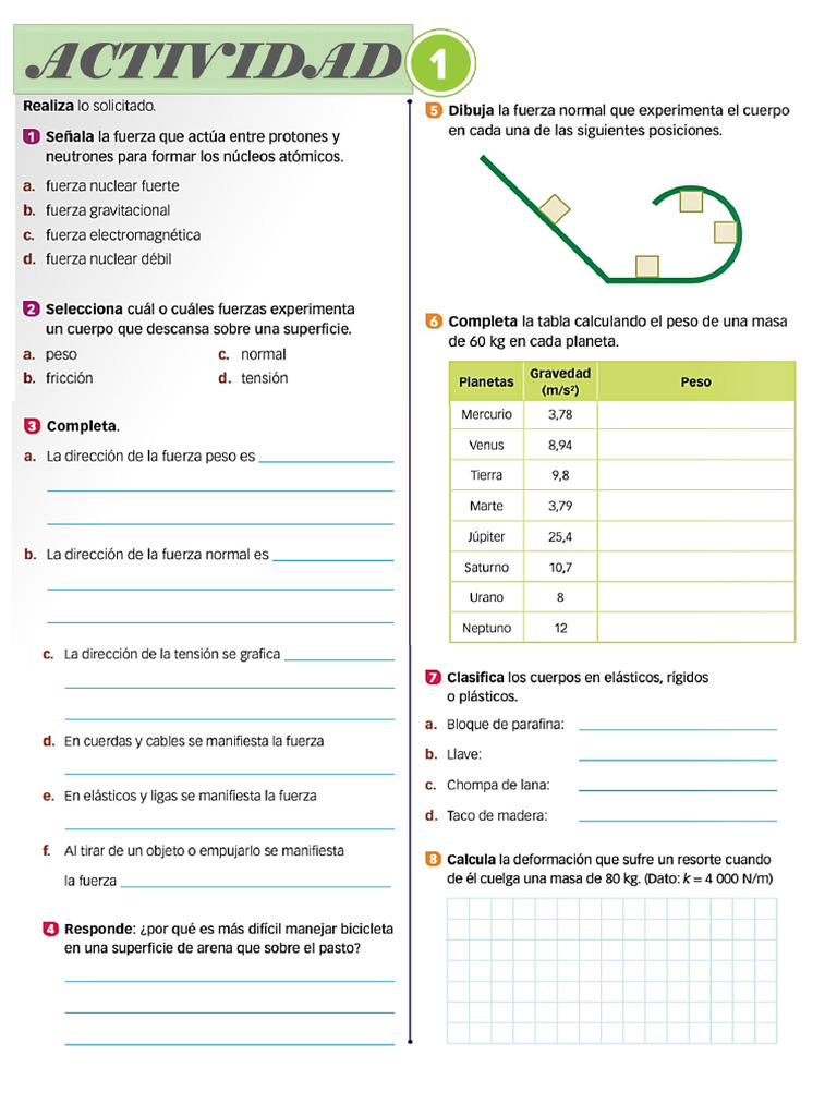 Diagrama de Cuerpo Libre 1ero Bachi | PDF