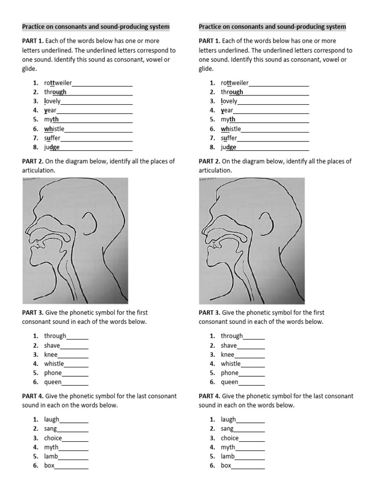 Practice Consonants and Sound Producing System PDF | PDF | Consonant ...