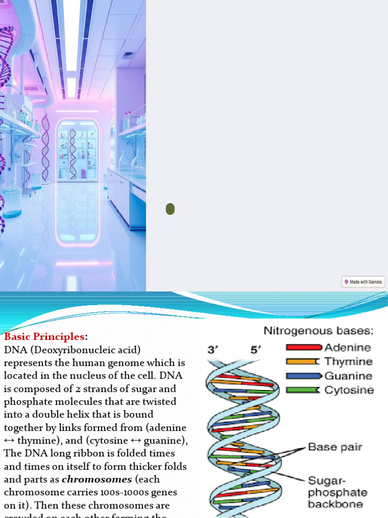 Dna | PDF | Dna | Dna Profiling