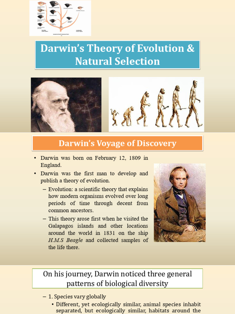 Darwin's Evolution and Natural Selection | PDF | Natural Selection ...