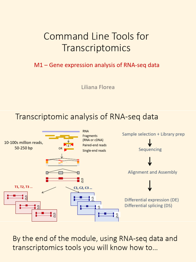 RNA-seq Analysis Workflow Guide | PDF