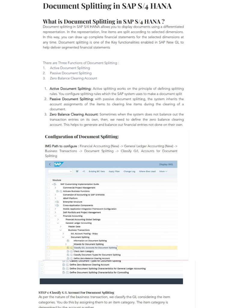 SAP Class 6 Document Splitting | PDF