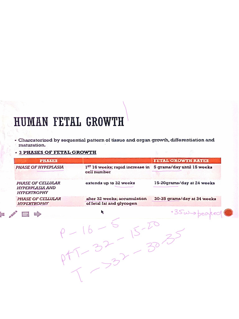 Fetal Growth Disorders | PDF