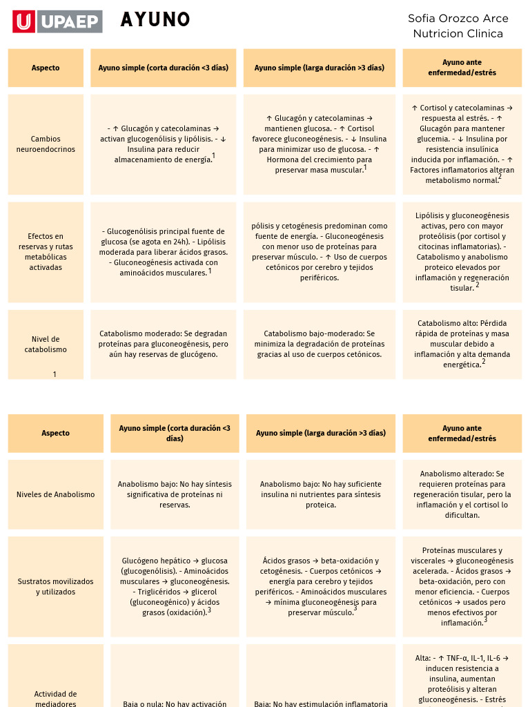 Efectos del Ayuno en el Metabolismo | PDF | Insulina | Glucógeno