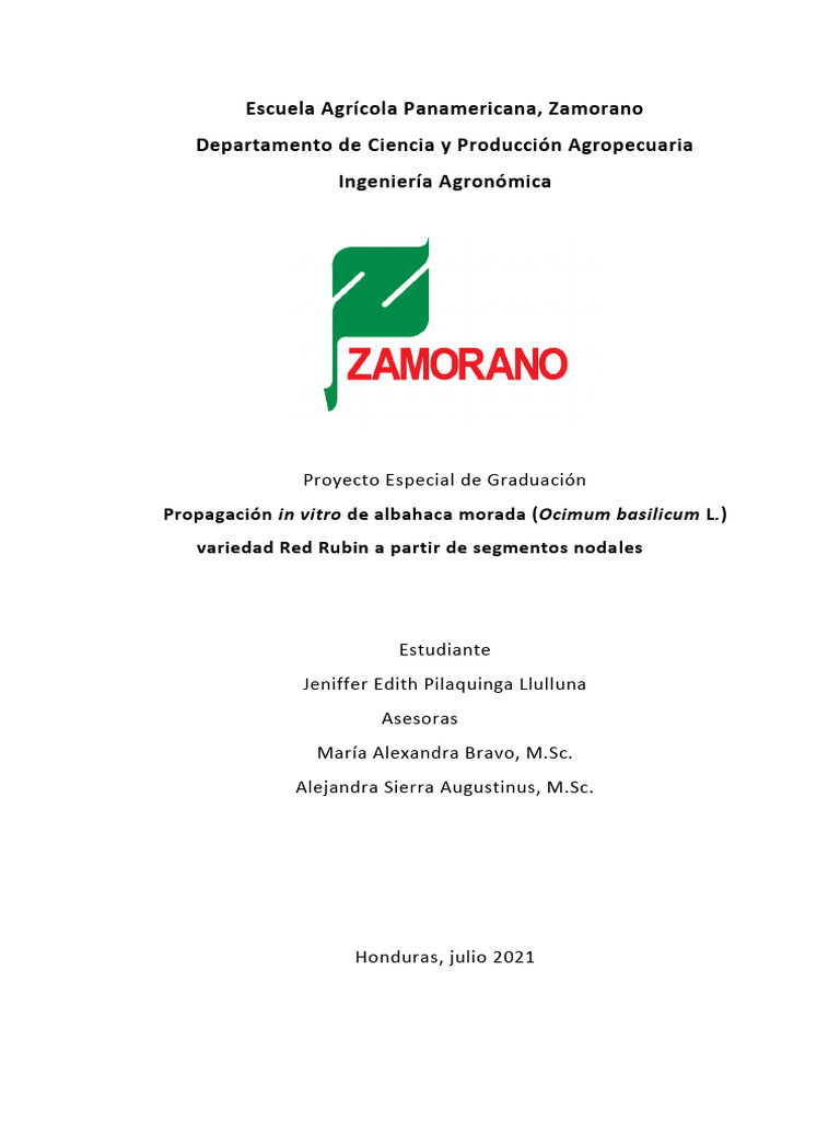 Propagación in vitro de albahaca Red Rubin | PDF | Agua | Albahaca