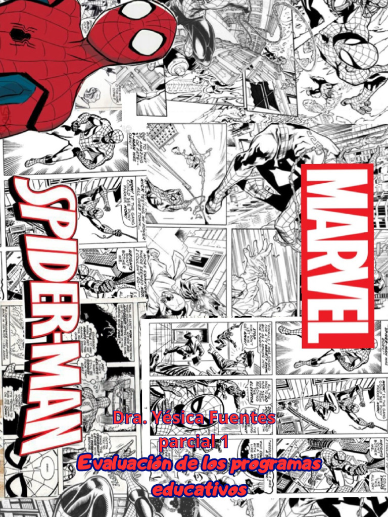 Evaluación de los programas educativos | PDF