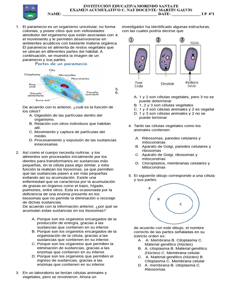 EXAMEN ACUMULATIVO 6° 1 2025 IP | PDF | Biología Celular) | Agua