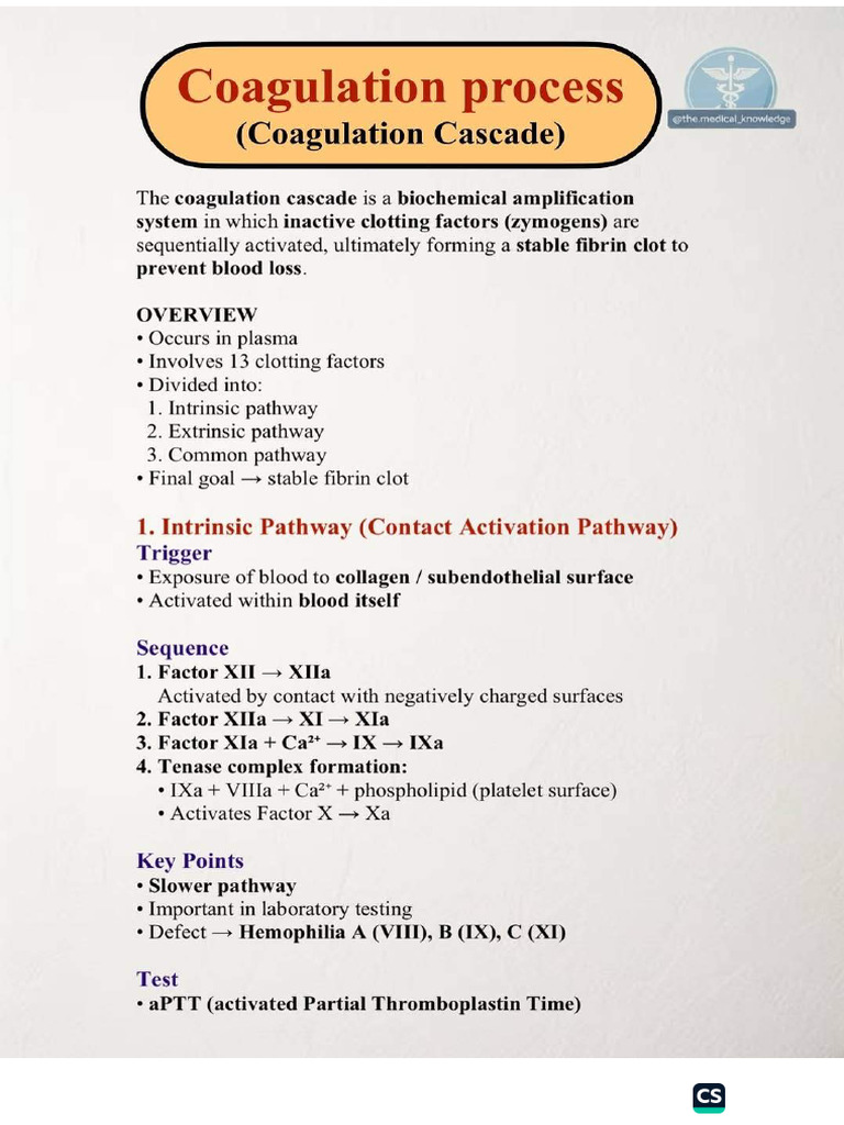 Coagulation Process (Coagulation Cascade) | PDF