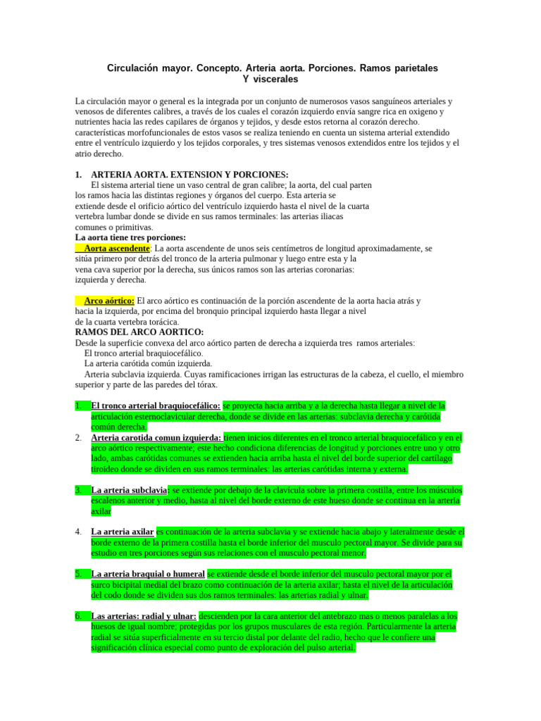 Morfo VI Tema 3 Opcion 2. | PDF | Aorta | Abdomen