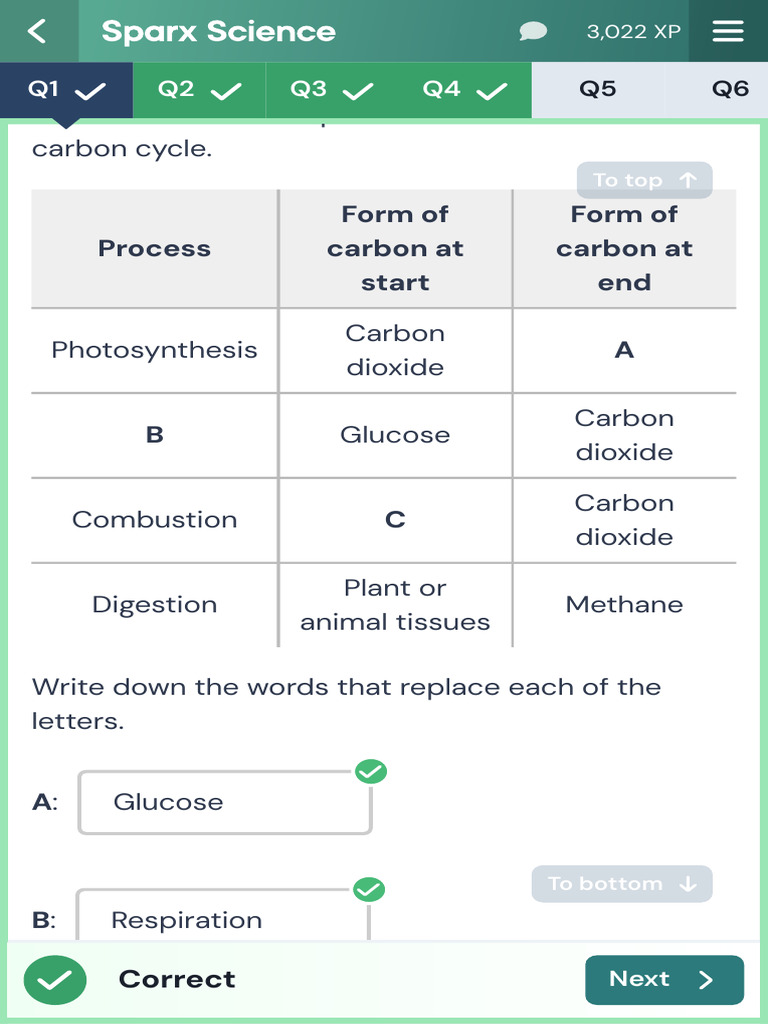 Carbon Cycle Processes Explained | PDF