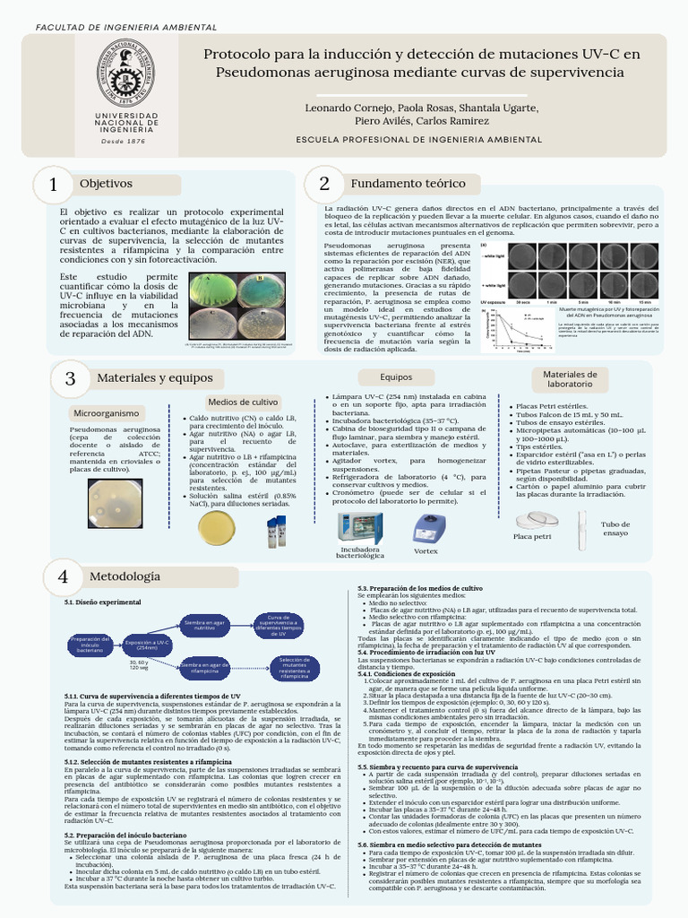 Mutaciones UV-C en Pseudomonas | PDF | Unidad de formación de Colonia ...