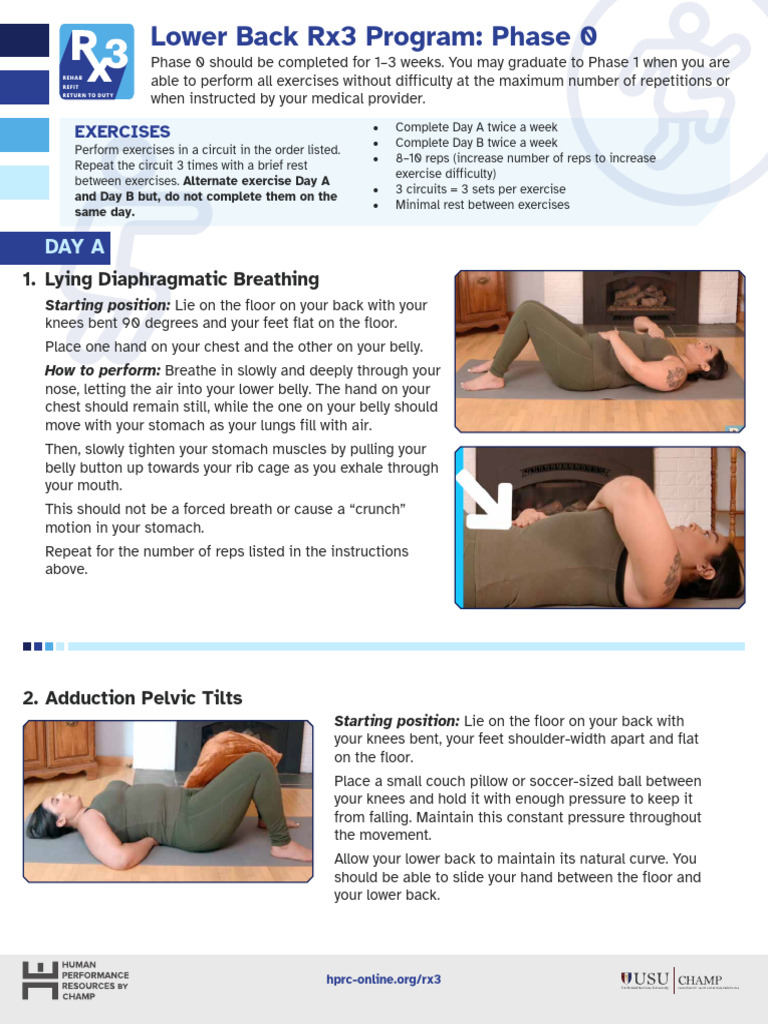 Lower Back Rx3 Phase 0 Exercise Guide | PDF | Aerobic Exercise ...