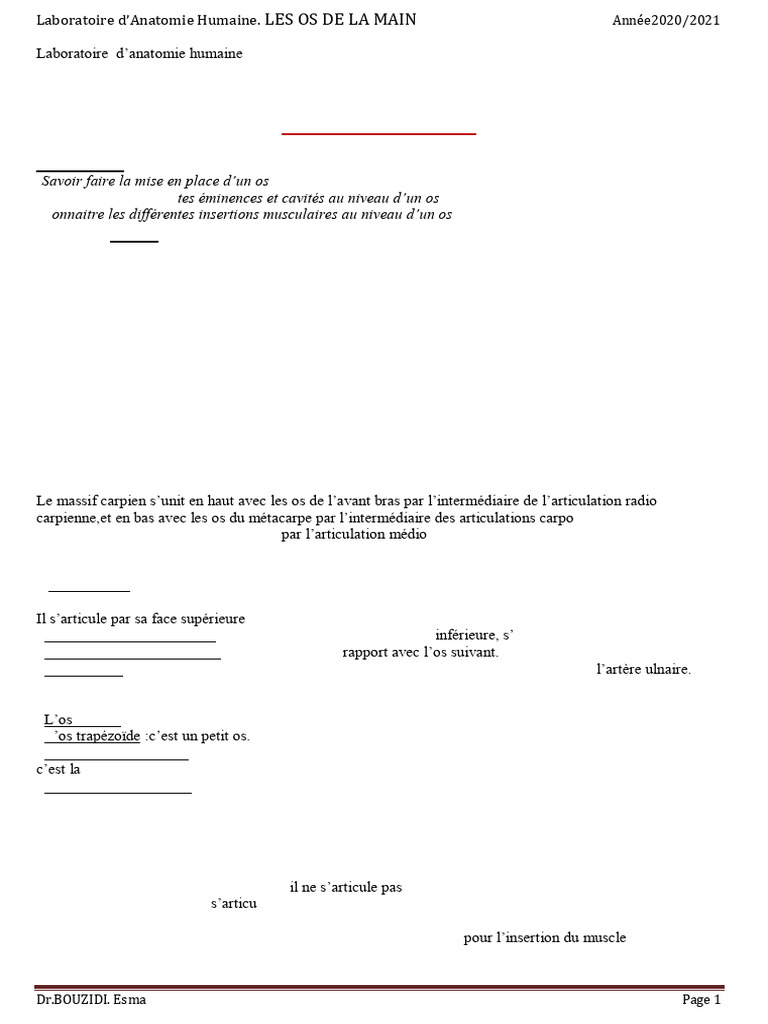 Anatomie des os de la main en 2021 | PDF | Main | Système squelettique